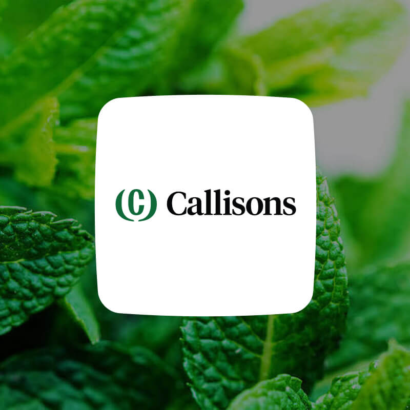 Callisons is redefining its online customer experience | Knowde News